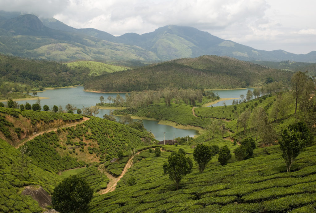 Yelagiri Hills – Tamil Nadu – Hills of India